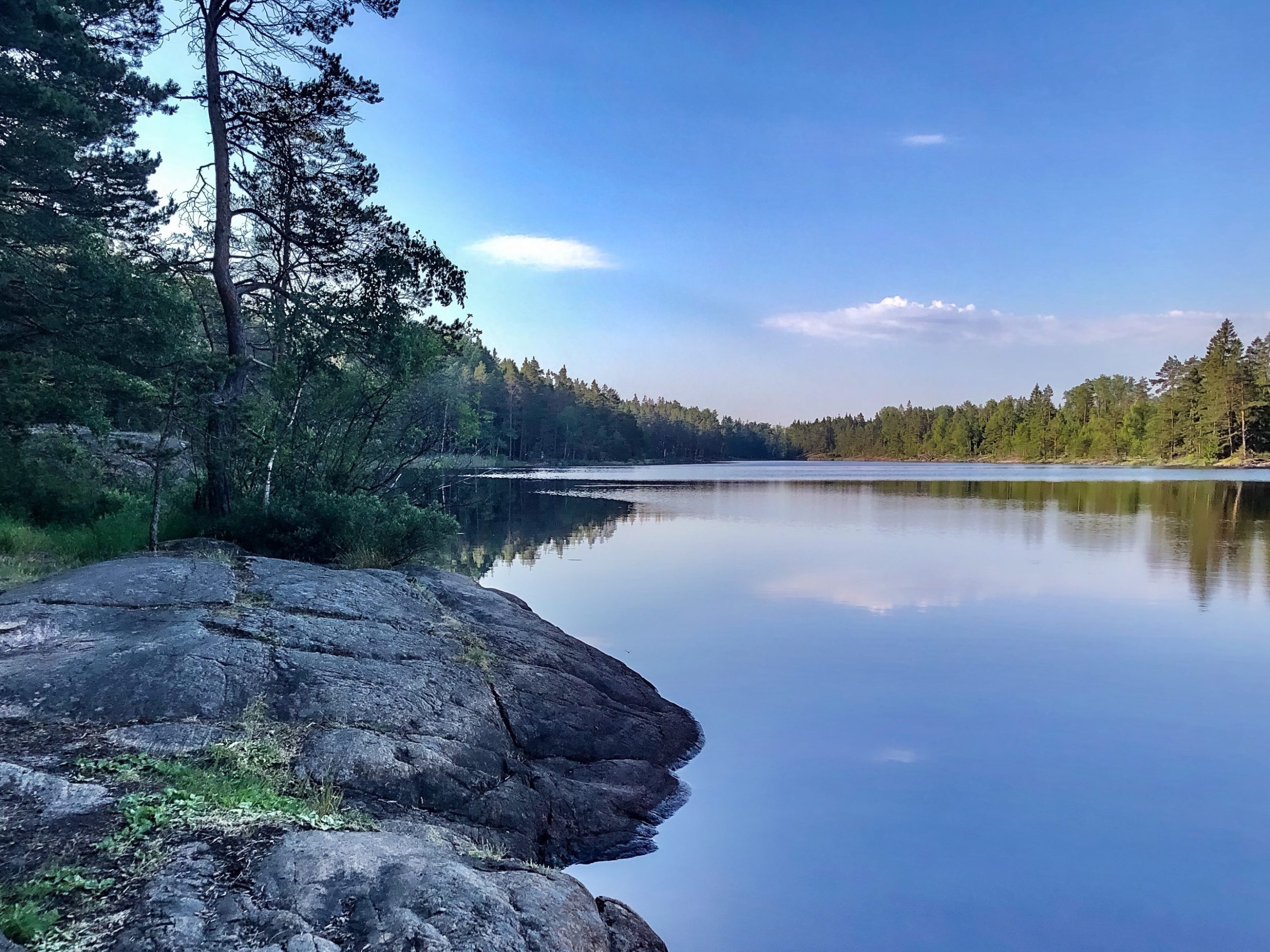 Hiking In Tyresta • Life In Sweden