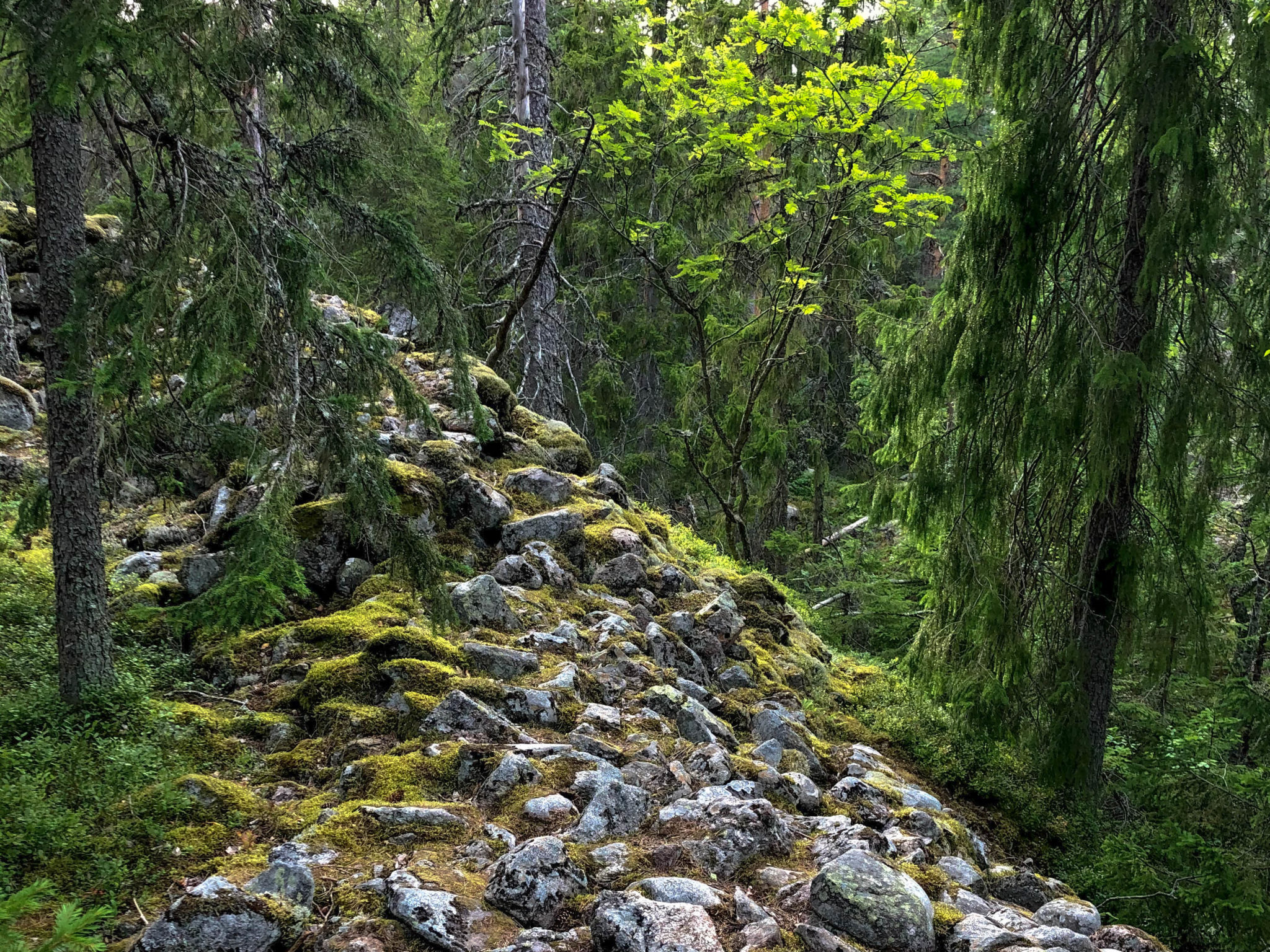 Tyresta National Park - Hiking and Camping